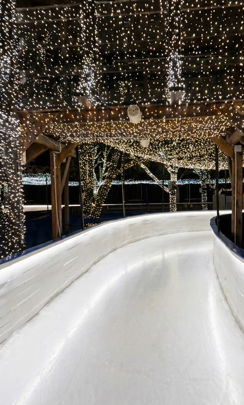 Csepel Ice Park: Budapest's Best-Kept Winter Secret (Complete 2025/2026 Guide) - Hungary Unlocked